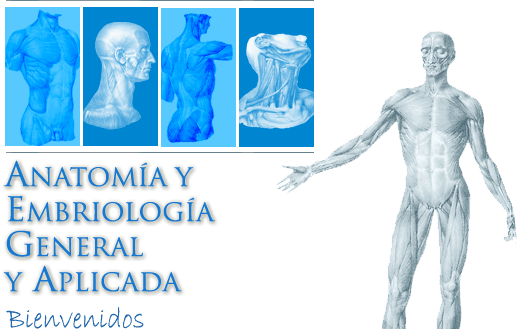 Untitled Document [www7.uc.cl]