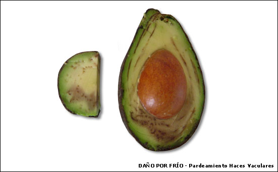 Desordenes de Paltas