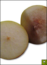 Descomposicion Interna