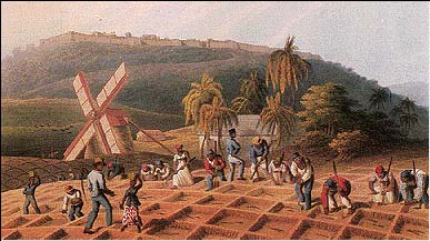 Trabajo de indígenas en el cultivo de la tierra.